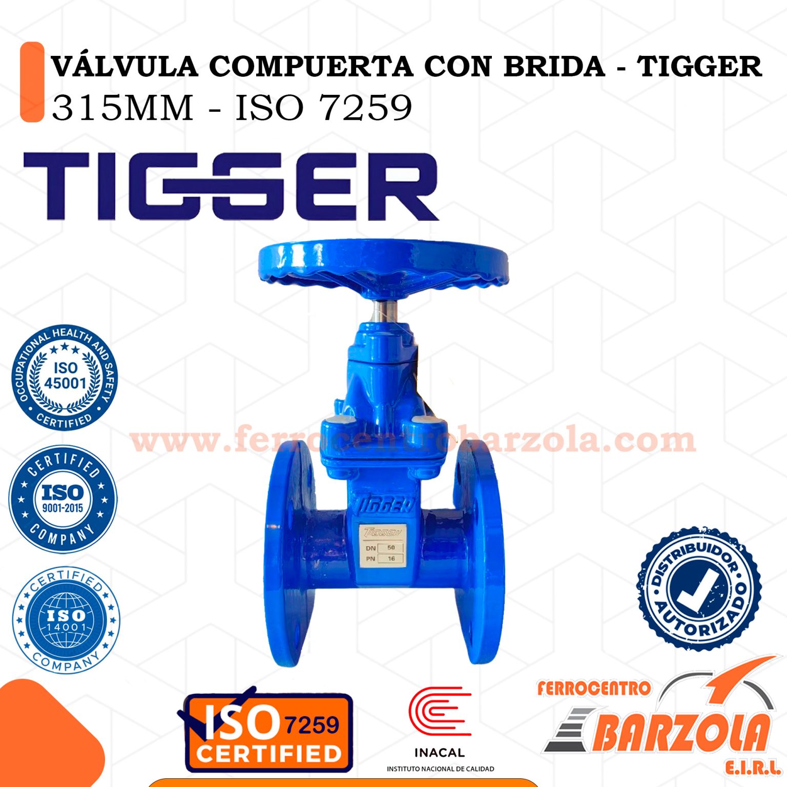 Válvula Compuerta Con Brida 315mm - TIGGER - Ferreteria